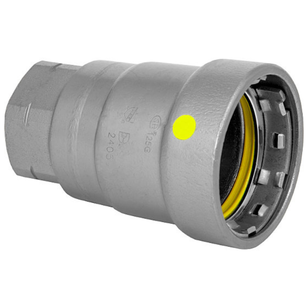 BMI 2" X 1-1/2" Carbon Steel Gas Press X FIPS Reducing Adapter