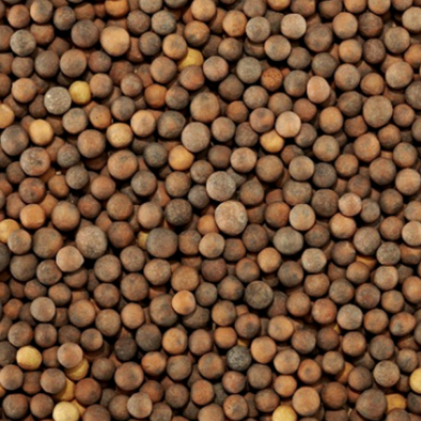 Clariant Envicat 2201 Catalyst - Falco 300 Replacement