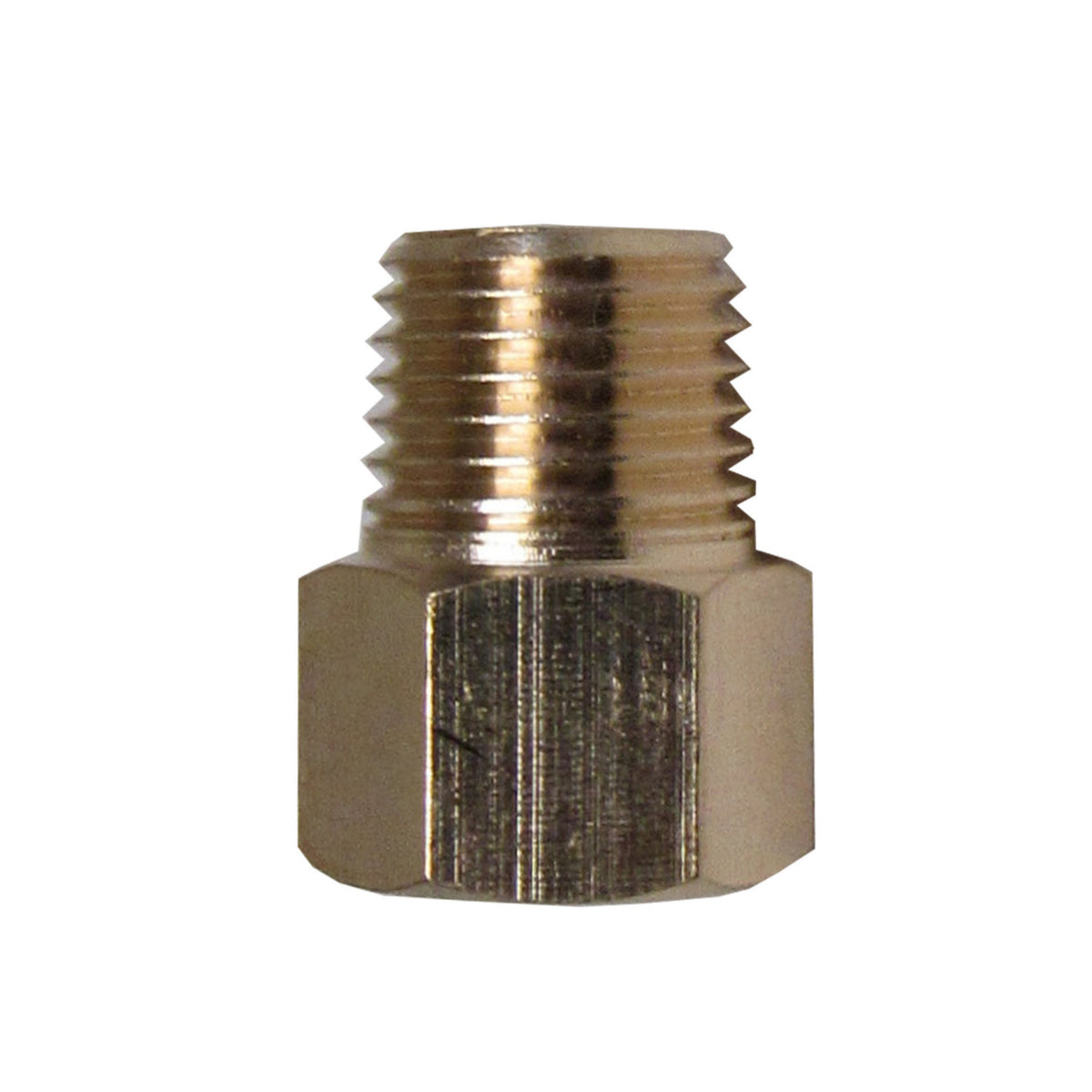 1" NPT Male X 1" BSPP Female Brass Adapter (NPT X BSPP)