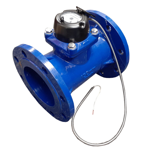 6" Irrigation Water Meter with Pulse Output (Flanged)